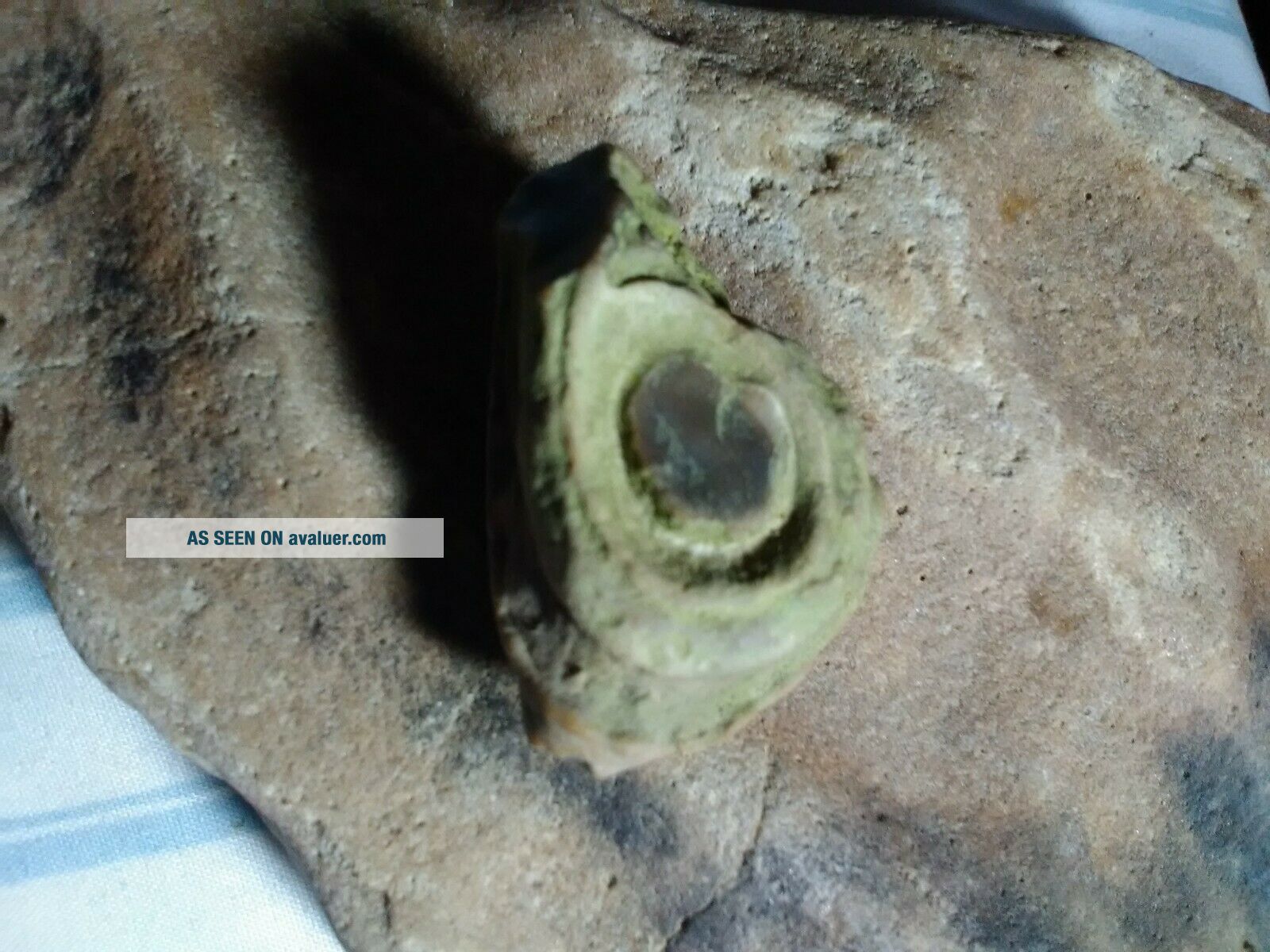 Ancient Native American Artifact Effigy Stone Head Pendant Southern ...