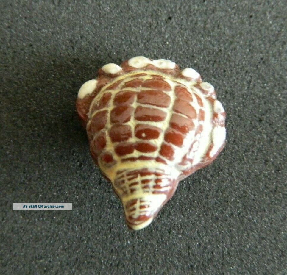 Realistic Vintage Glass SEA LIFE Sea Shell Brown Glass | #331295