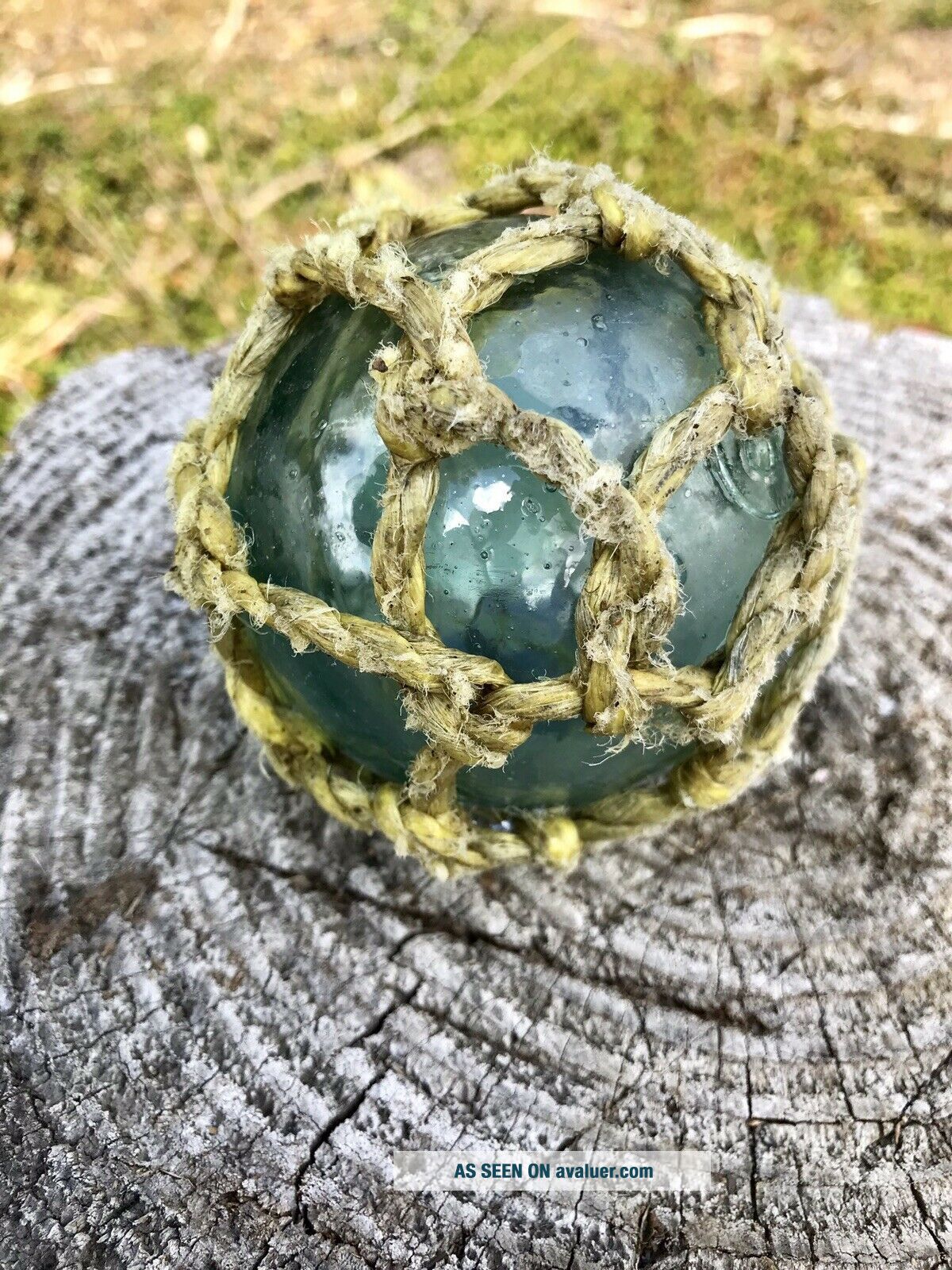 Unique Rare Alaskan Beachcombed Glass Fishing Float With Huge Barnacle ...