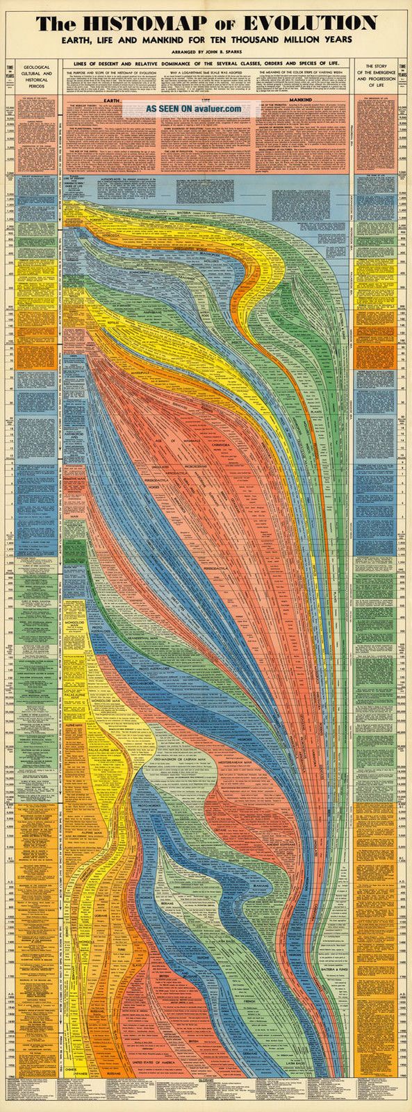 X - LARGE Histomap Of Evolution History Timeline Chart Wall Poster Home ...