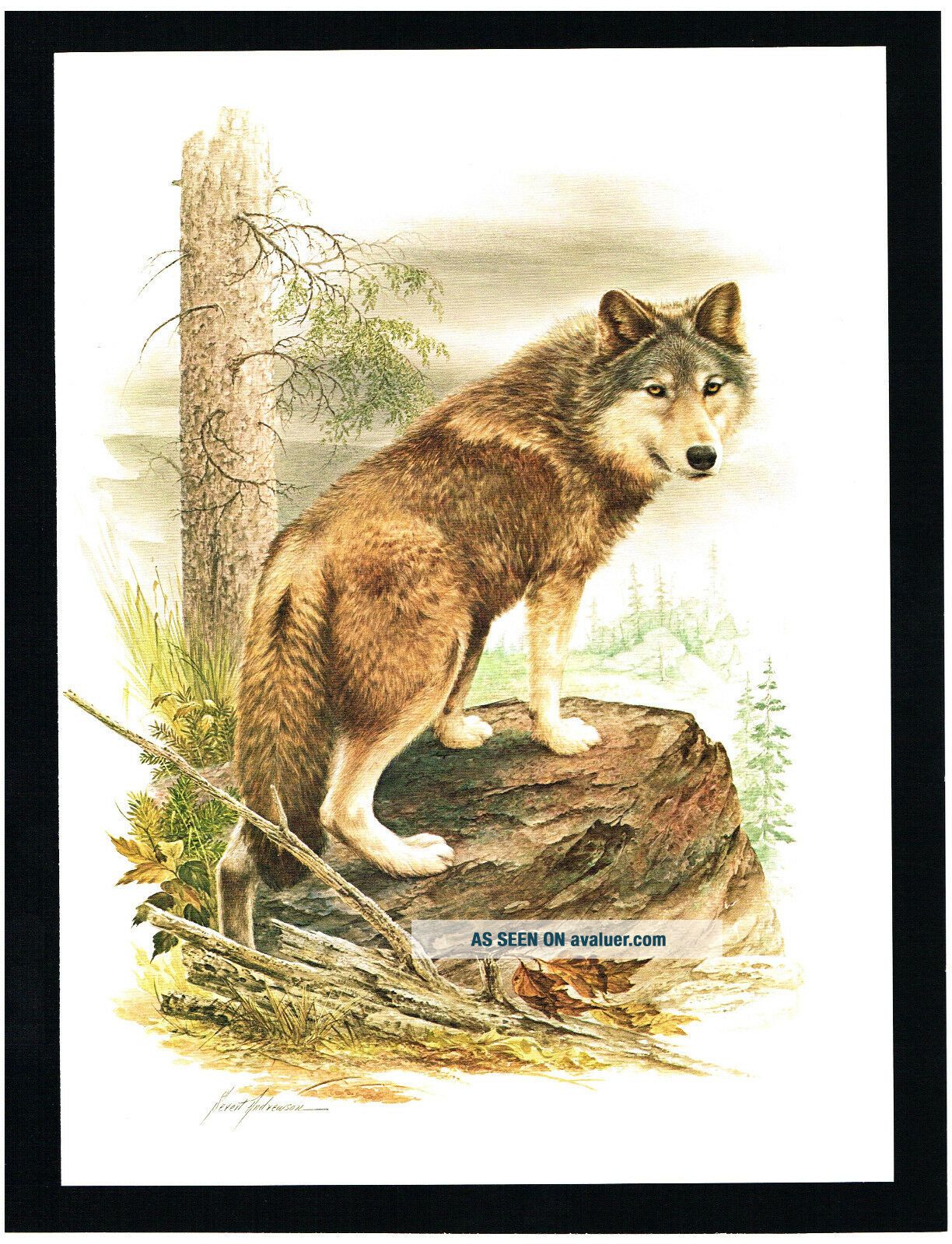 ANIMAL PRINT TIMBER WOLF, ILLUSTRATED IN WORLD OF NATURE RAND McNALLY ...